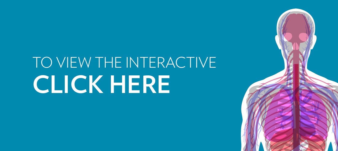 How Nutrients Help the Body, an Interactive Guide